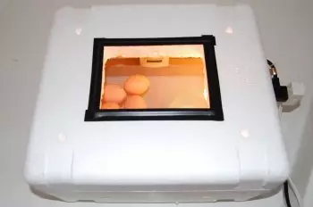 Mini-incubator សម្រាប់ស៊ុតធ្វើវាដោយខ្លួនឯង 7490_12