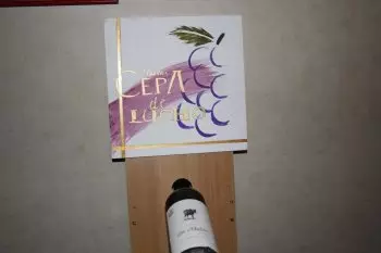 Вертикален гардероб за вино със собствените си ръце 7627_8
