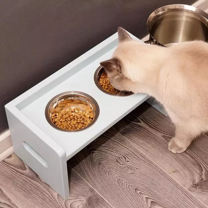Homemade feeder para sa cat o dog 771_1