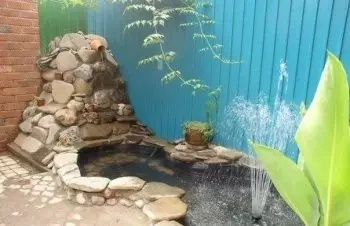 Com fer una mica d'estany al vostre jardí 7830_1