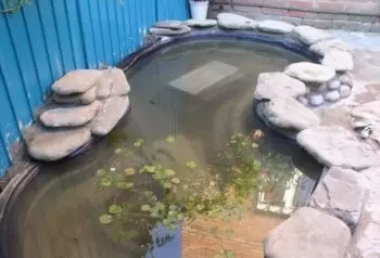 如何在院子裡製作一個小池塘 7830_6