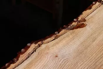 Sofabord fra træstammen med egne hænder 7929_10