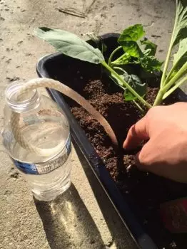 Sistemi i ujitjes automatike të bimëve shtëpie me duart e tyre 7942_9