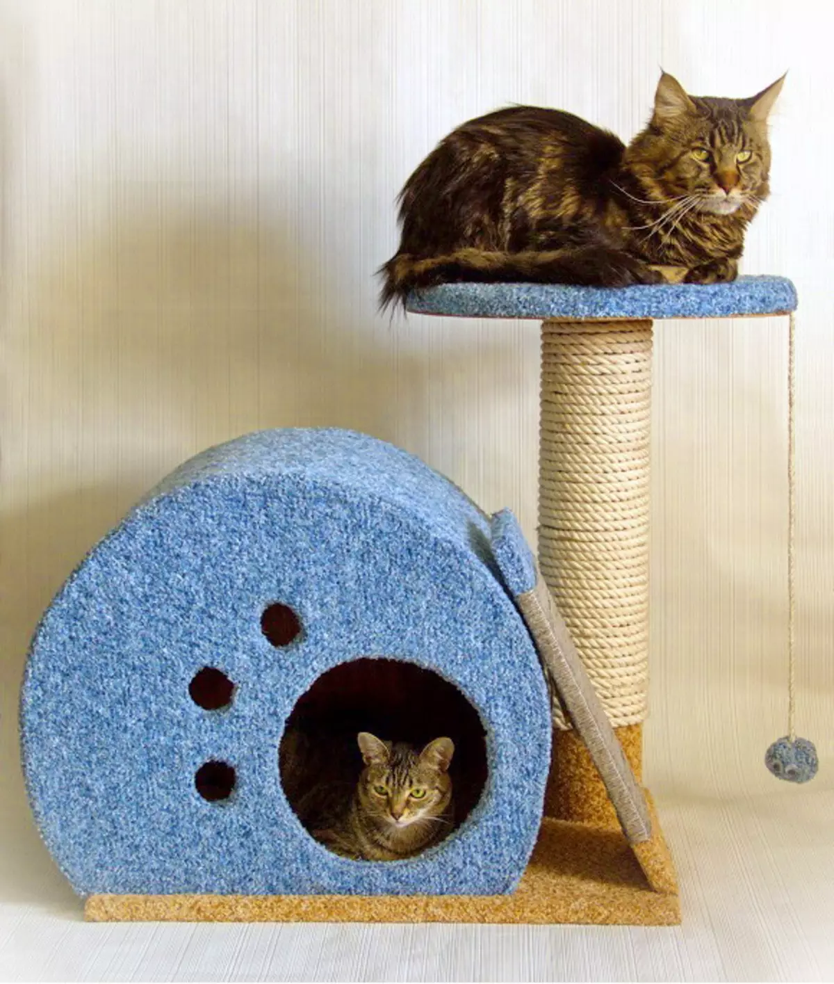 Casa para un gato con freno y juguete colgante.