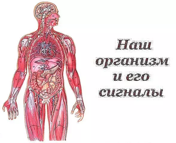 Cách duy trì nền kinh tế: Mẹo N.V. Gogol.