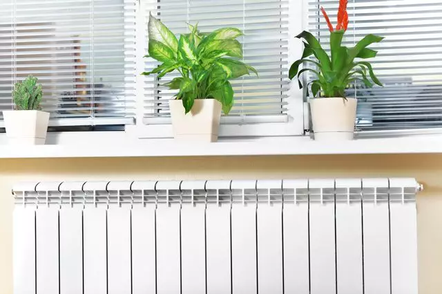 Dry, but uncomfortable: 7 ways to moisten the air in the apartment