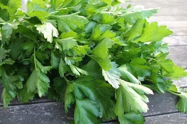 Mtu anawezaje kuchanganywa na parsley ya kawaida.