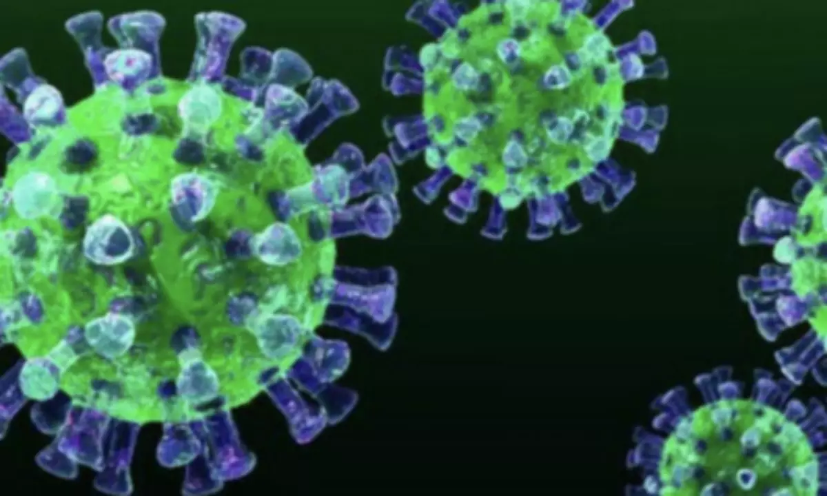 कॉव्हिड -19 कॉरोव्हायरस सुपरस्क्रास्टर्सची वैशिष्ट्ये स्थापित केली