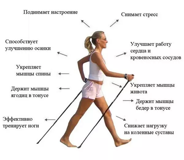 Чаро дар кишвар кор мекунад ва дар боғ барои саломатӣ муфид аст (нуқтаи олам)