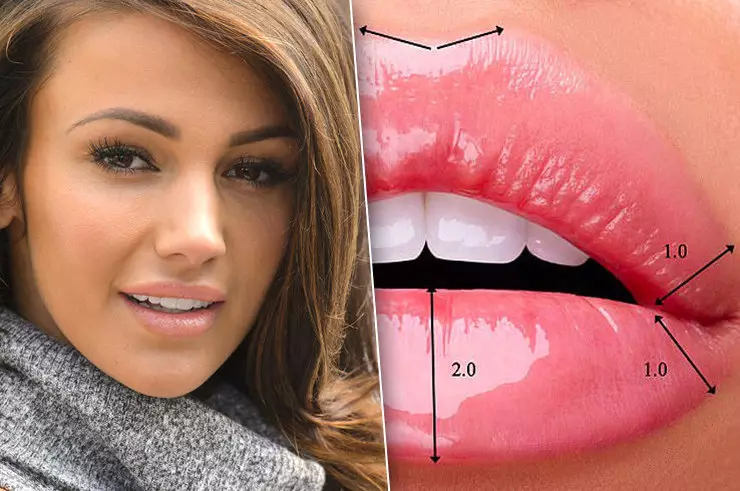 What do ideal female lips look like?