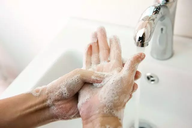 Митови за moidodyra или зошто не стојат премногу често ги мијат рацете?